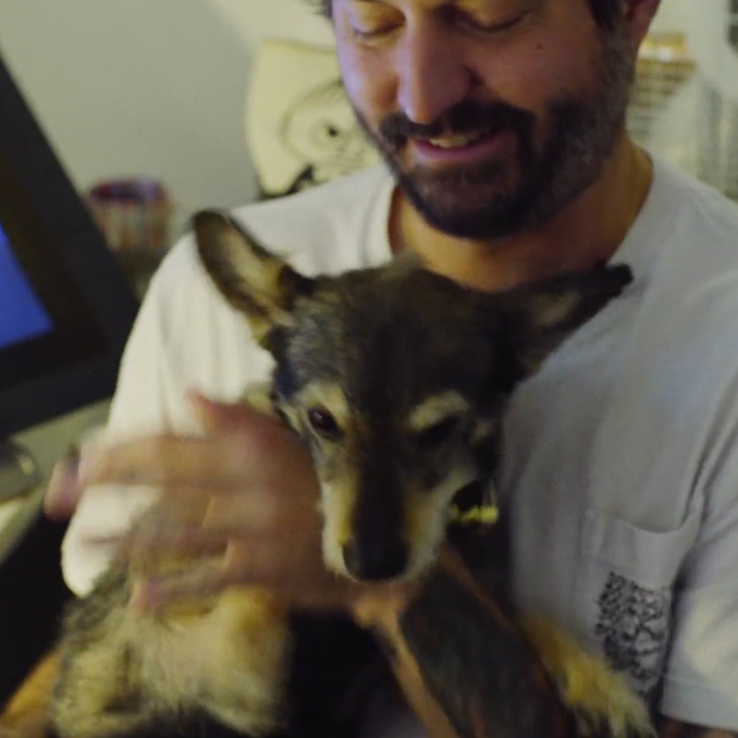 Jay Howell - Street Dog – Ignored Prayers